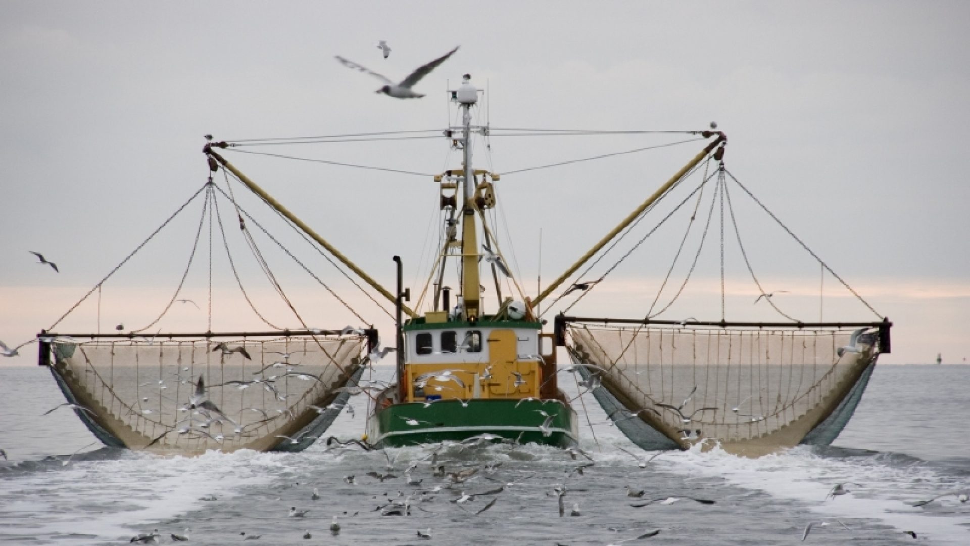 Schiffsausflüge ab Horumersiel und Hooksiel – Leuchtfeuer Nordsee ...